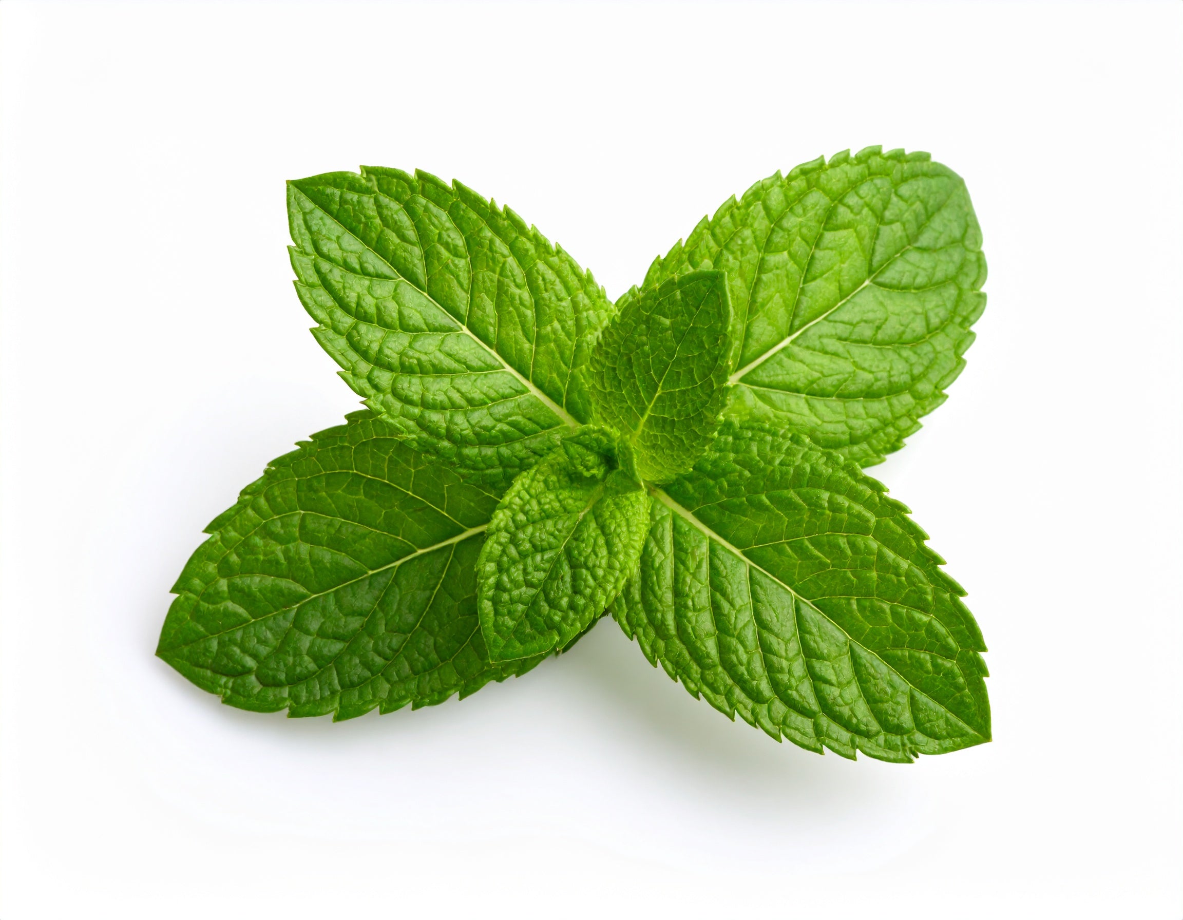 Mint Candy – Oh! Nuts