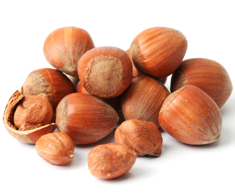 Hazelnuts (Filberts) in Shell – Oh! Nuts