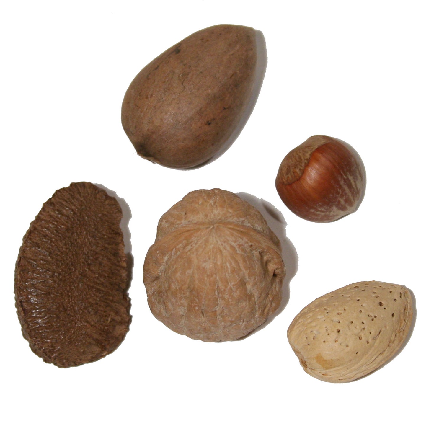 Mixed Nuts in Shell – Oh! Nuts
