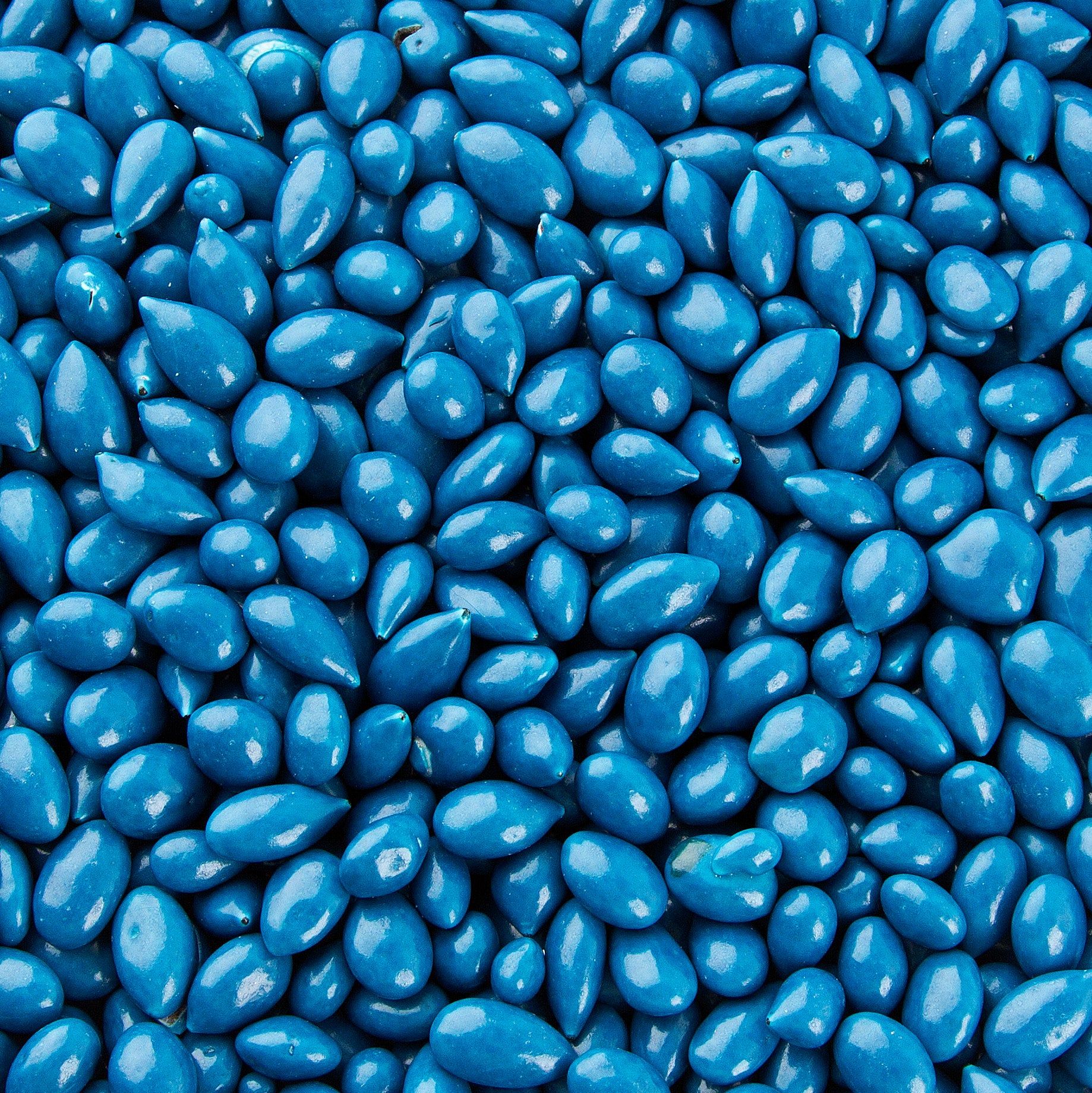 Dark Blue Chocolate Covered Sunflower Seeds – Oh! Nuts