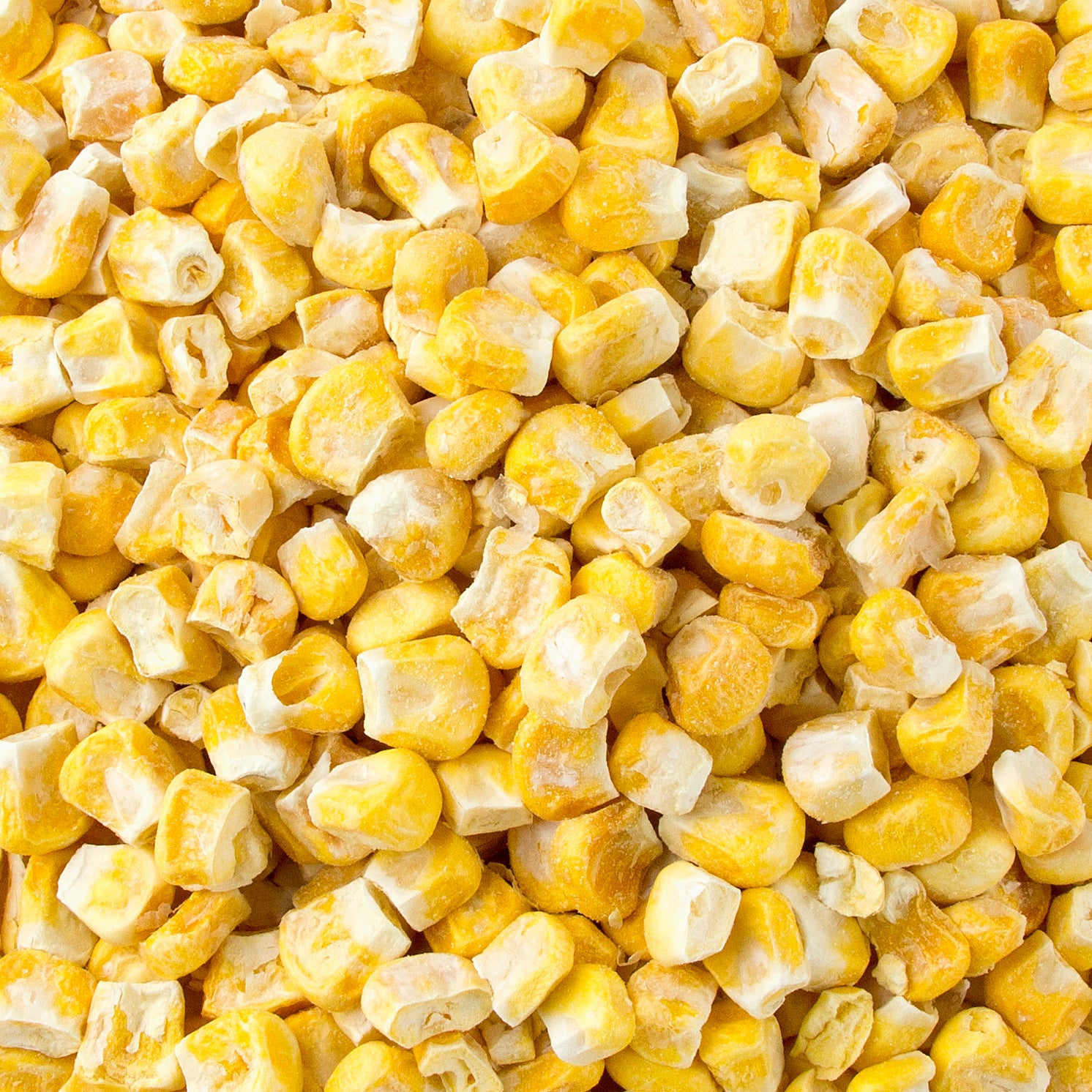 Freeze Dried Sweet Corn - 2oz Bag – Oh! Nuts