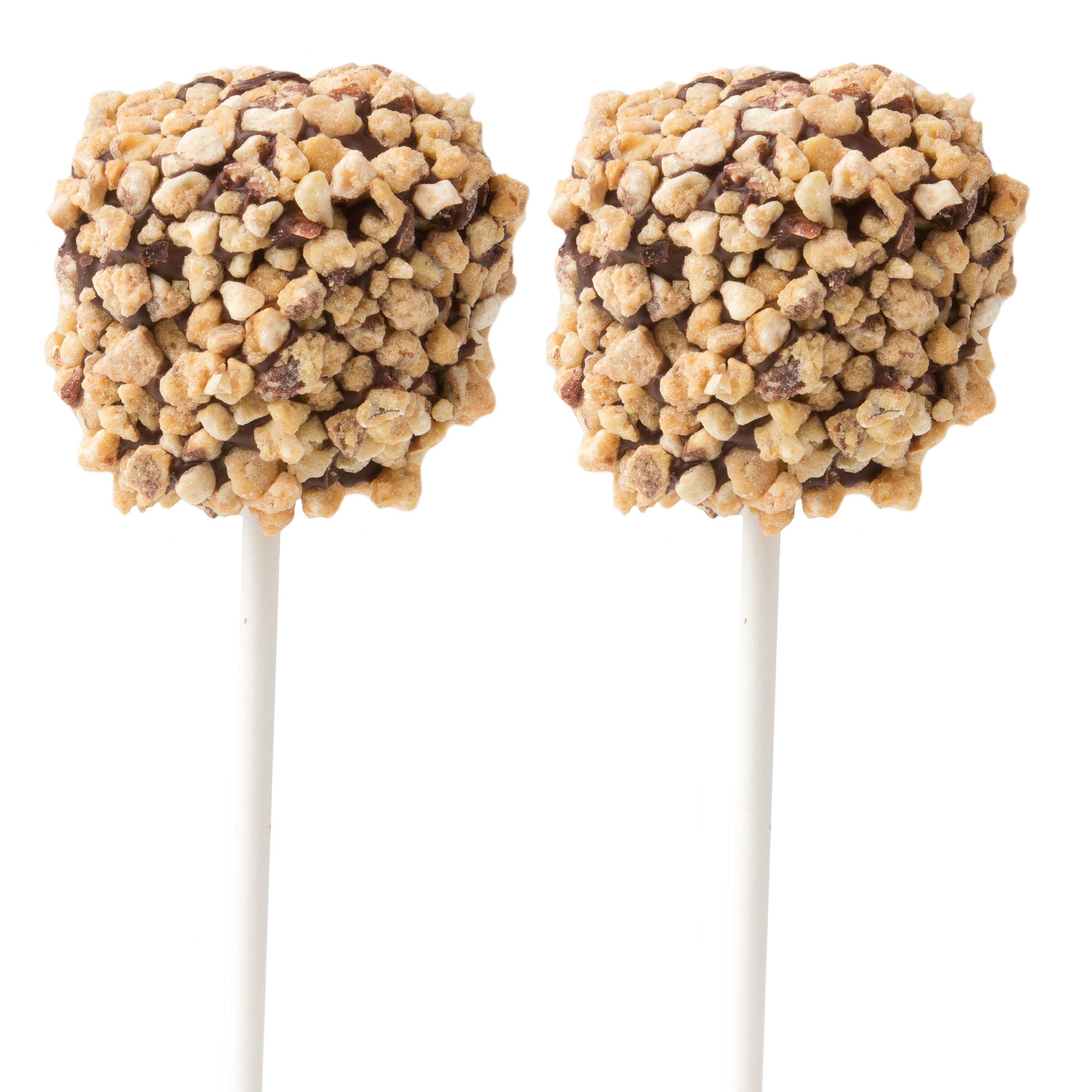 Chocolate Dipped Marshmallow Pop - Nuts – Oh! Nuts